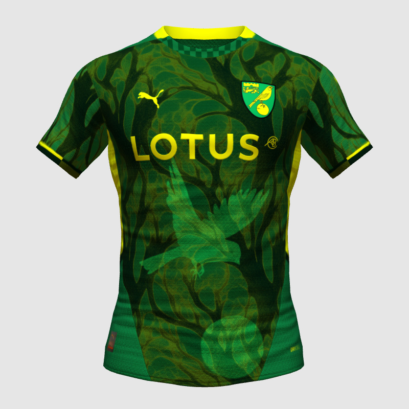 lioness - FIFA 23 Kit Creator Showcase