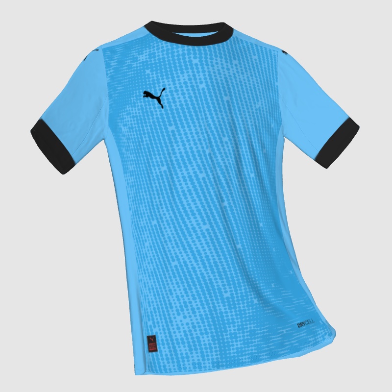 Puma 25-26 Elite Team Goalkeeper - FIFA Kit Creator Showcase